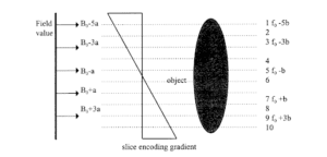 Chapter VI. Gradient encoding - Radiological Services